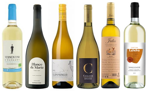 Introductory Mixed White Wine Case One